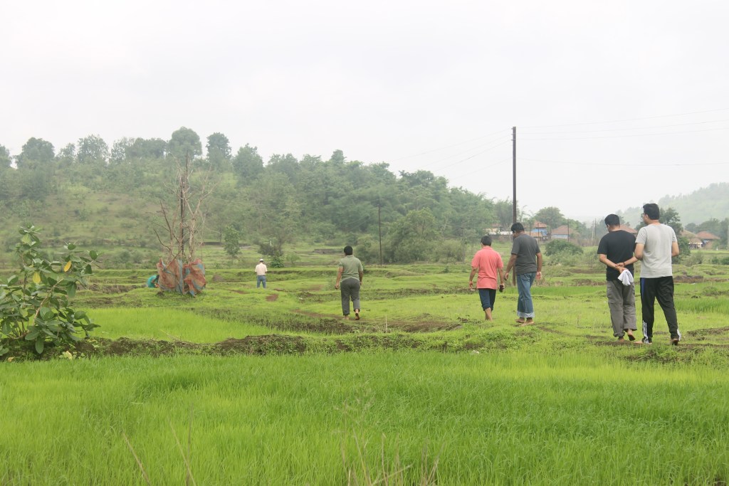 Blog - Groval Euler's